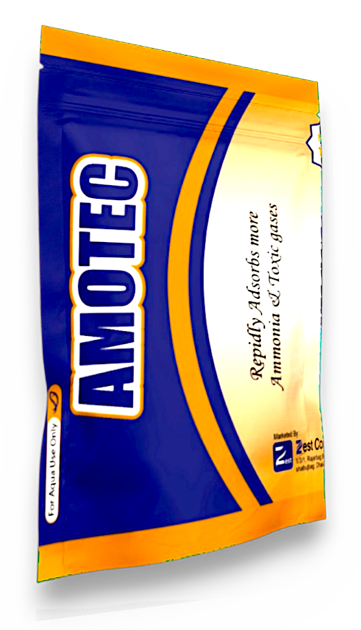 Zest Corporation Ltd | Premium Aquatic Solutions for Fish Health